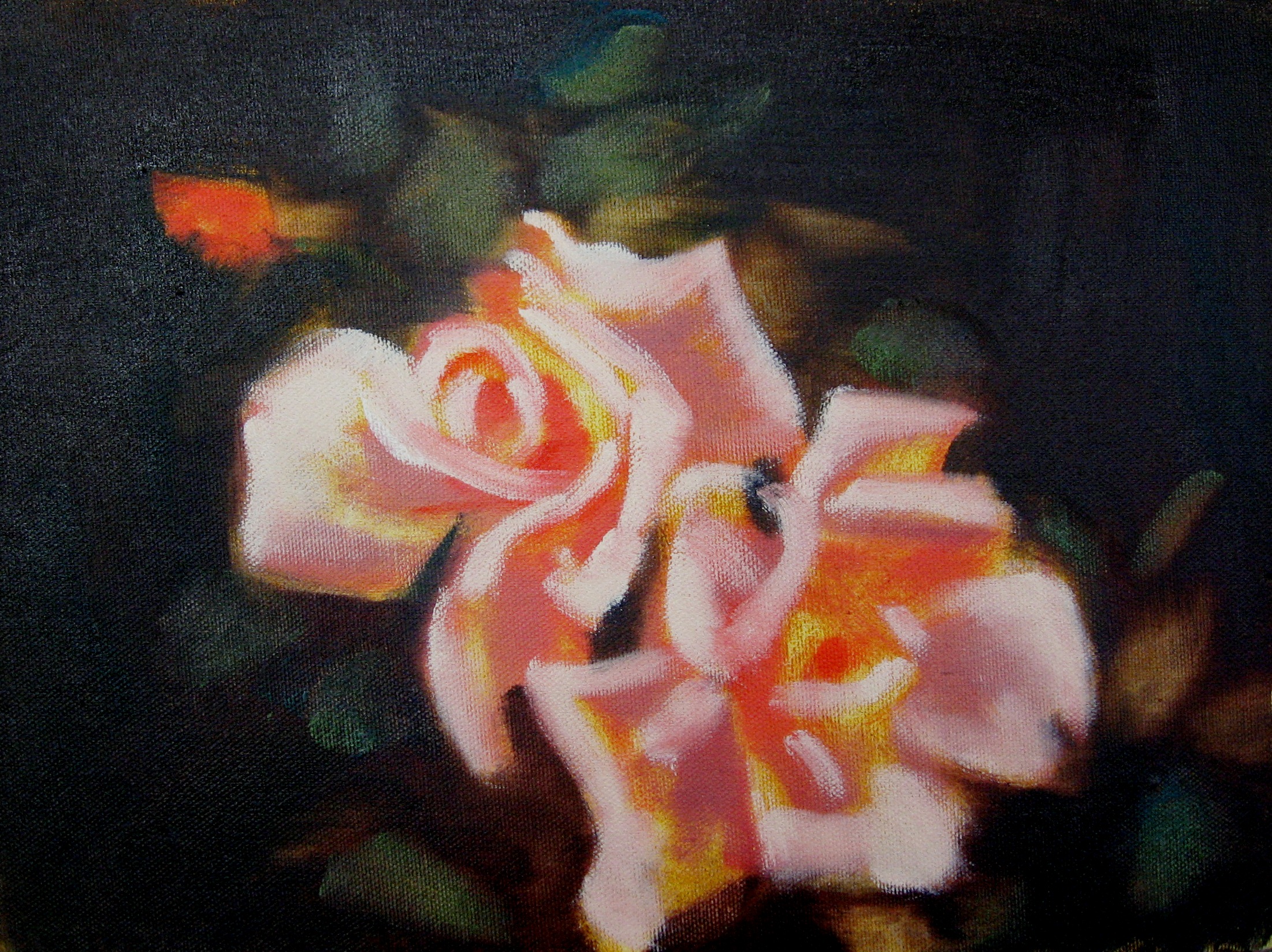 Blush Roses (Last Stage) - Grace to Paint