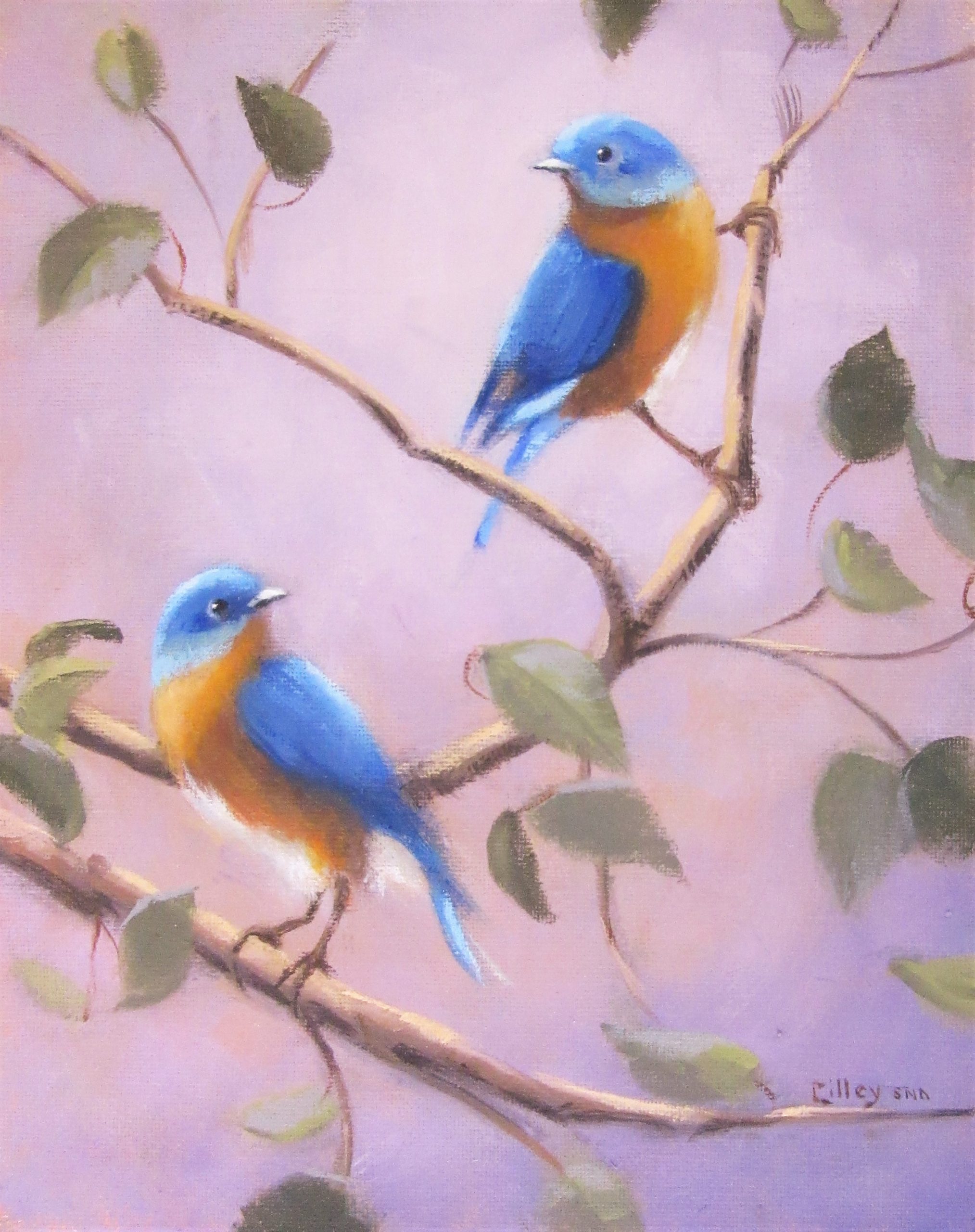 E. Mountain Blue Birds - Grace to Paint