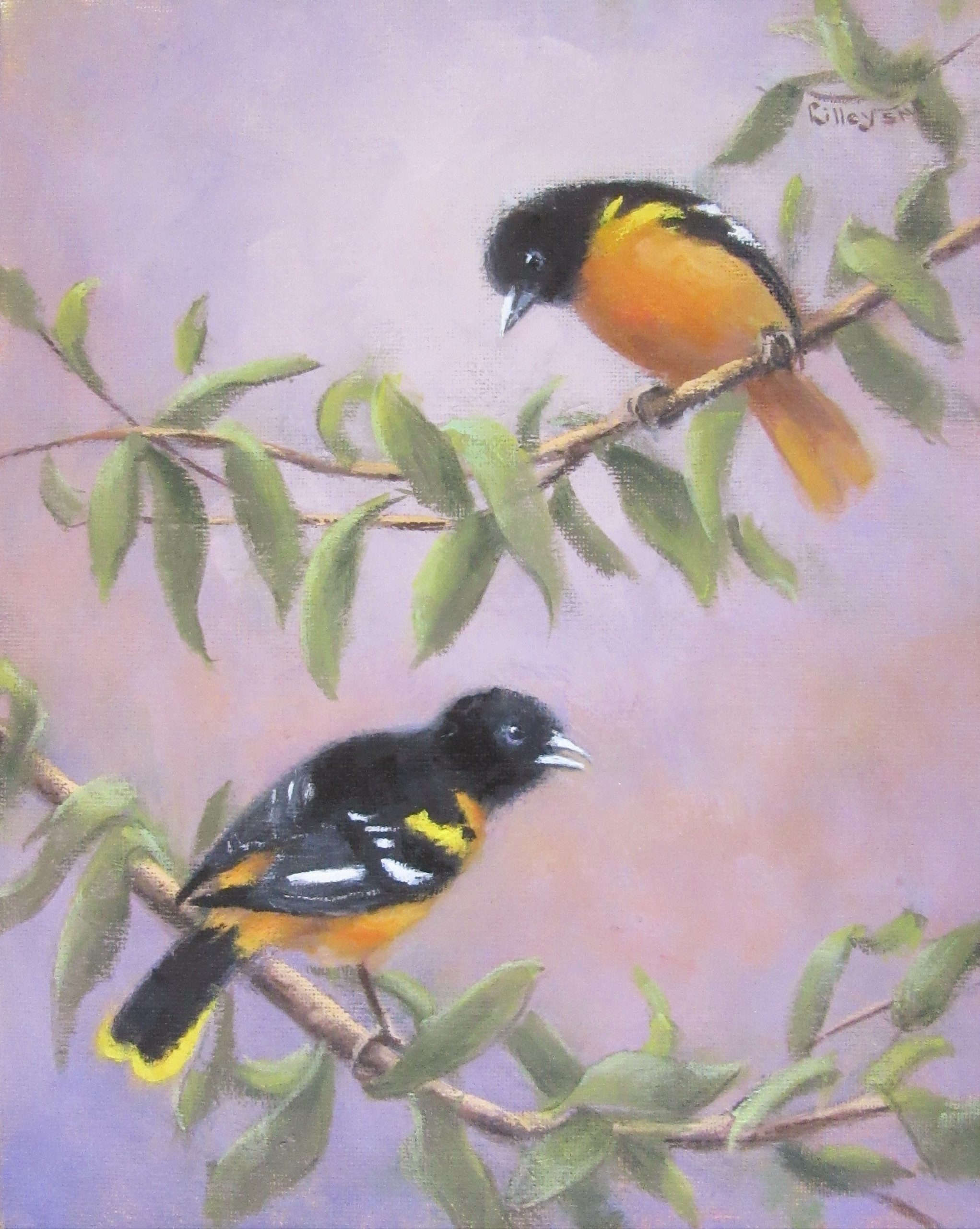 Orioles - Grace to Paint