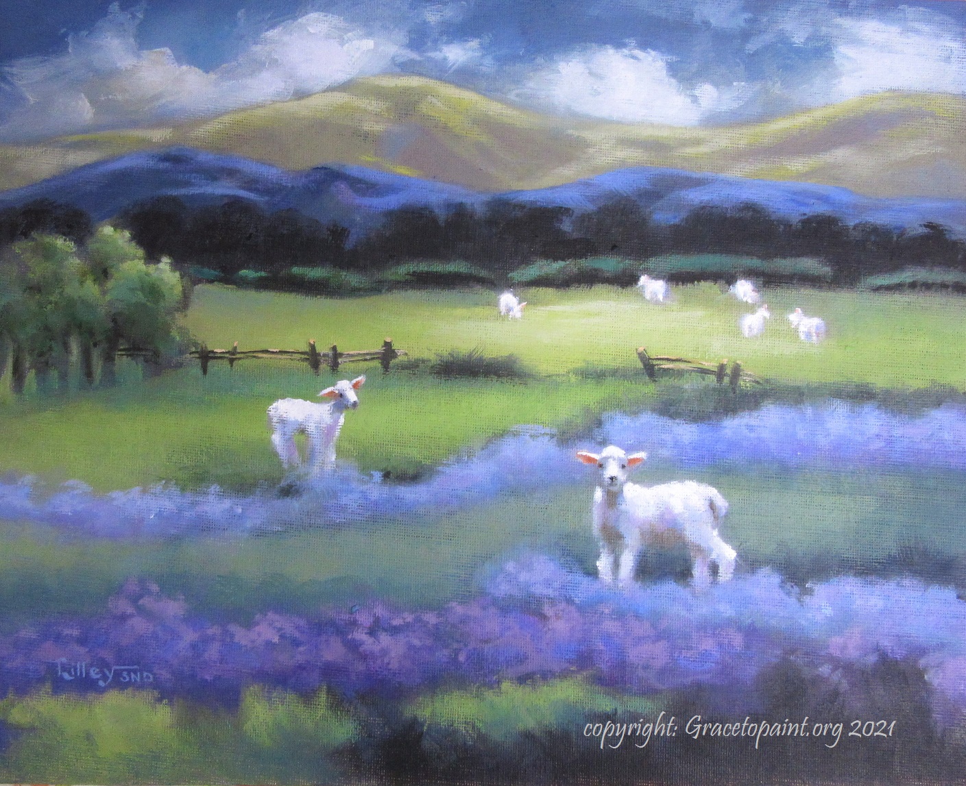 Sheep in the Pasture - Grace to Paint