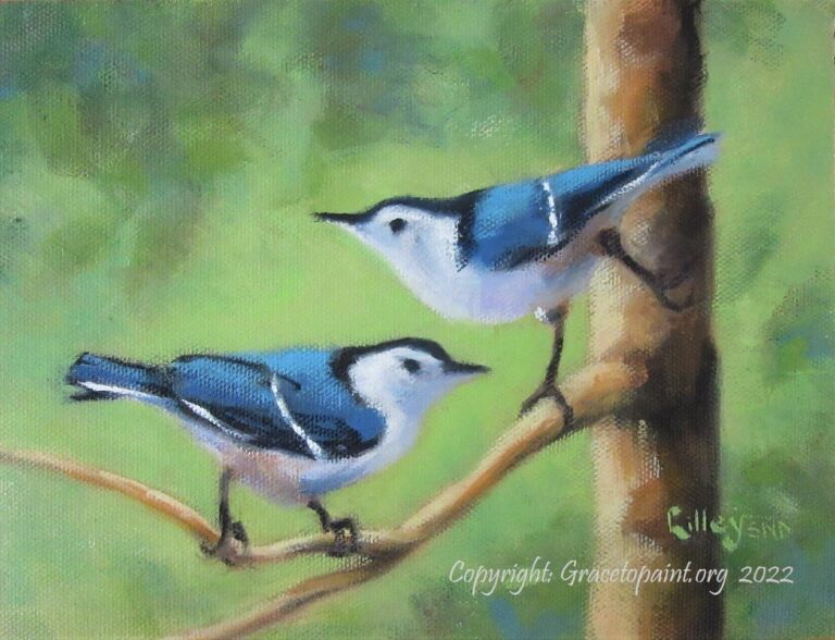 Nuthatches - Grace to Paint