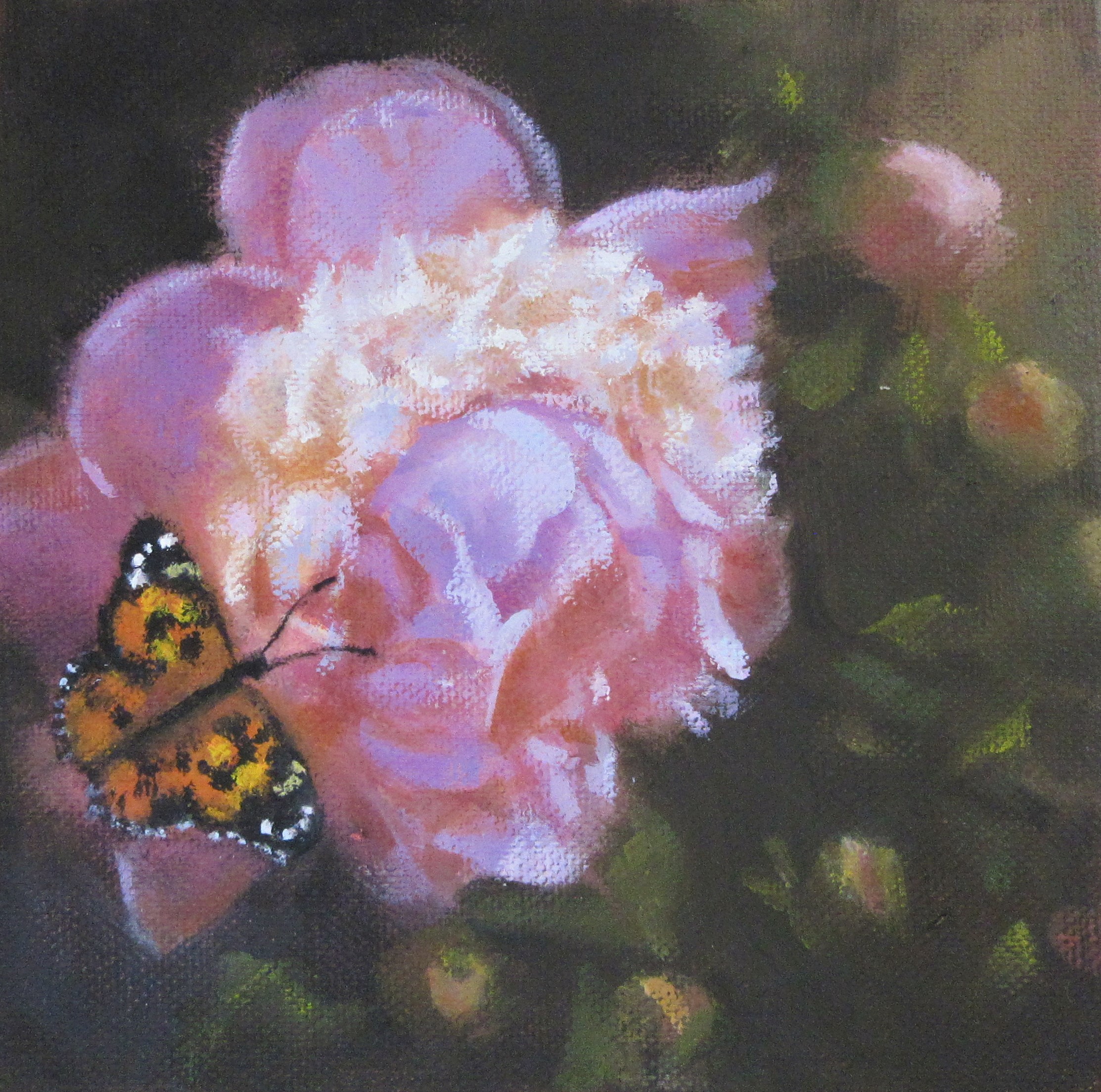 Painted Lady - Grace to Paint