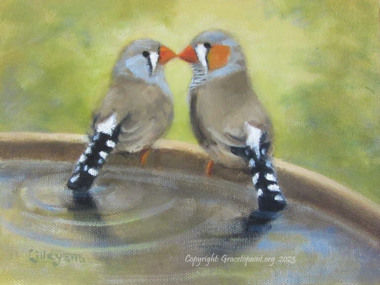 Mr. and Mrs. Tiger Finch - Grace to Paint