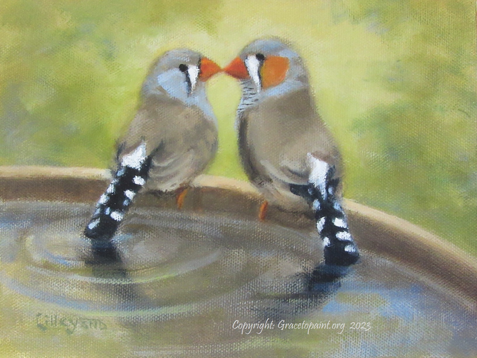 Mr. and Mrs. Tiger Finch - Grace to Paint