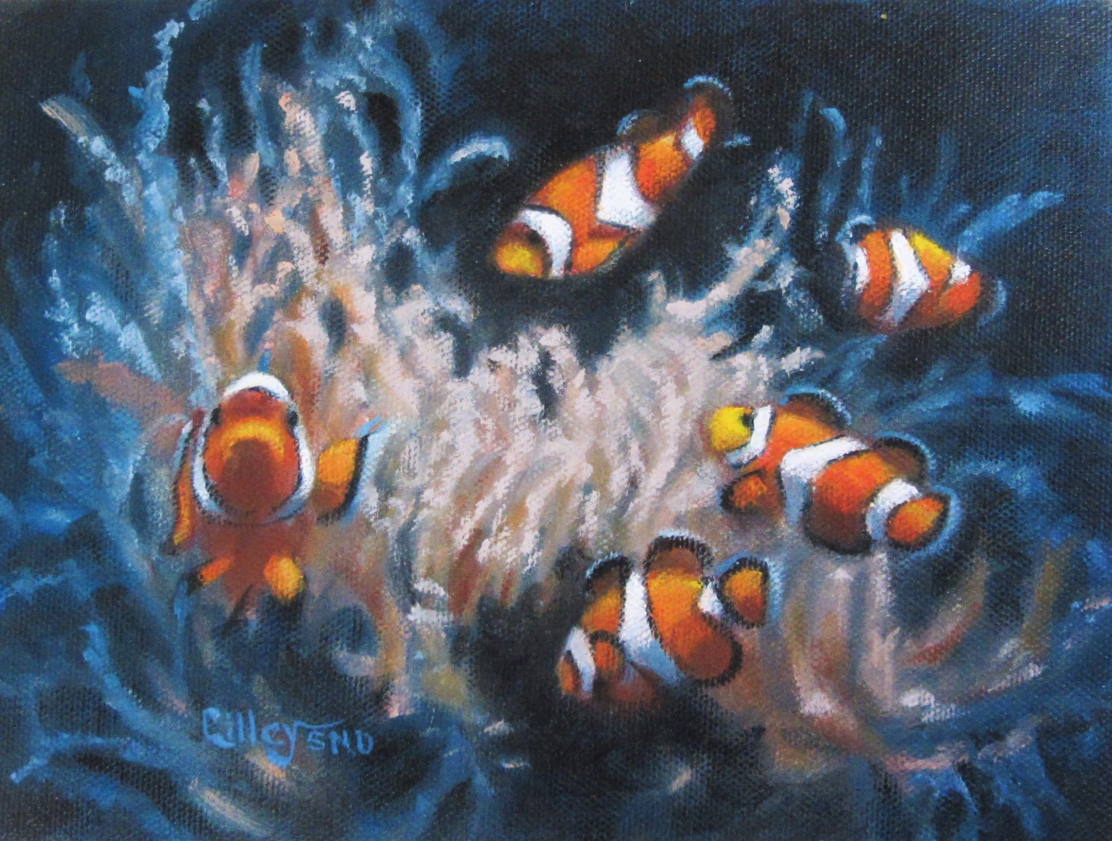 Clown Fish - Grace to Paint